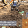 Weeding Delta | OpenBuilds